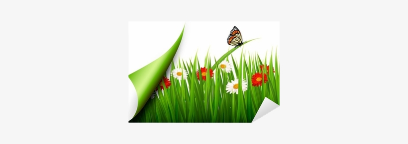 Spring Background With Flowers, Grass And A Butterfly - Spring ...