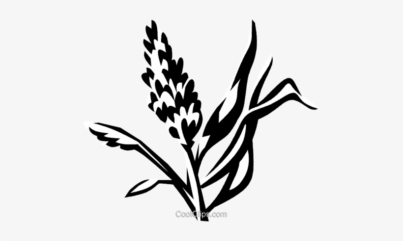Marsh Grass Royalty Free Vector Clip Art Illustration - Marsh Grass ...