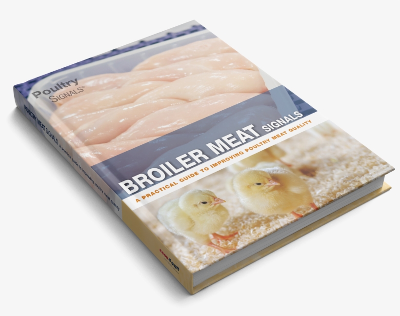 Practical Guide To Improving Poultry Meat Quality - Broiler - 2028x1506 ...