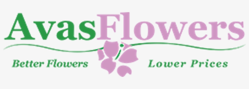 Avas Flowers Coupons - Avas Flowers Logo Png - 800x214 PNG Download ...