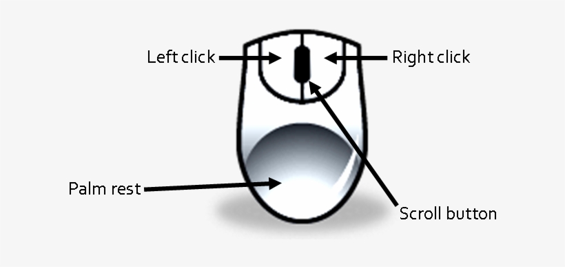Computer - Parts Of Mouse - 663x328 PNG Download - PNGkit
