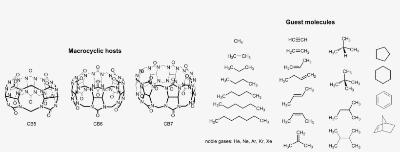Download Transparent , (iii) Ion Dipole Interactions With The Carbonyl ...