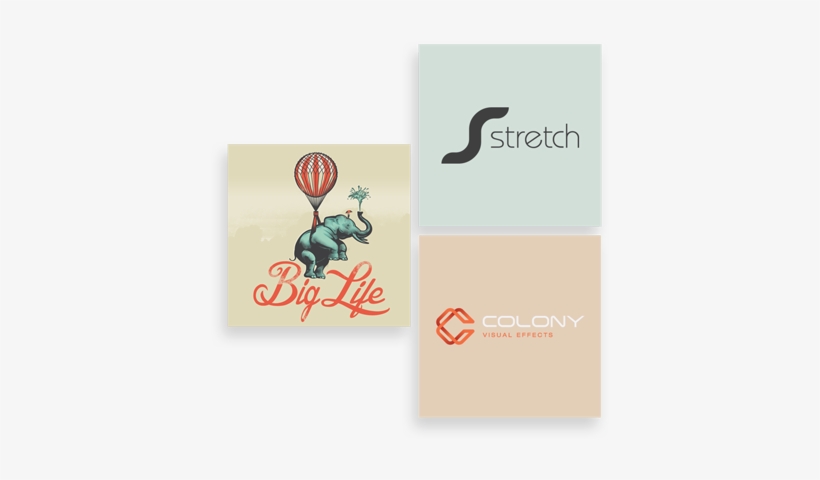 Download Transparent Entertainment Logo Examples - Can Make A Girl ...