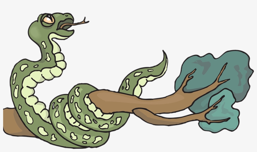 Clip Art Royalty Free Stock Collection Of Free Branches - Snake On Tree ...