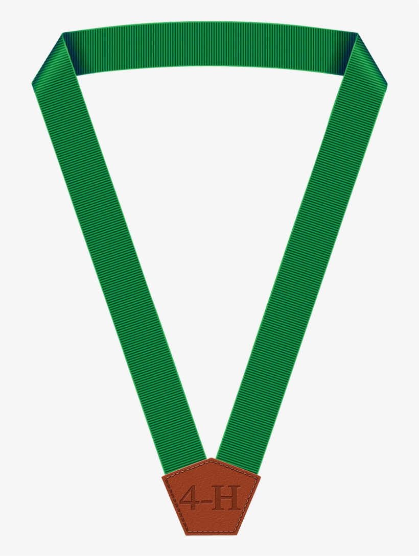 4-h Member Achievement Ribbon - Symmetry - 1028x1028 PNG Download - PNGkit