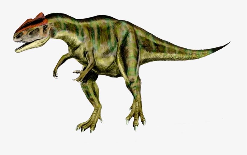 Download Transparent Allosaurus 2 - Allosaurus Png - PNGkit