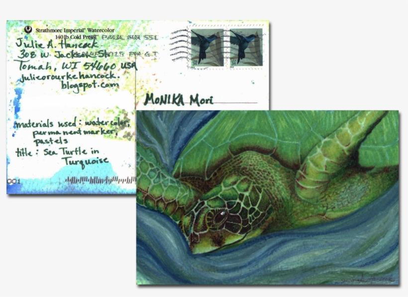 Hawksbill Sea Turtle - 1500x1085 PNG Download - PNGkit