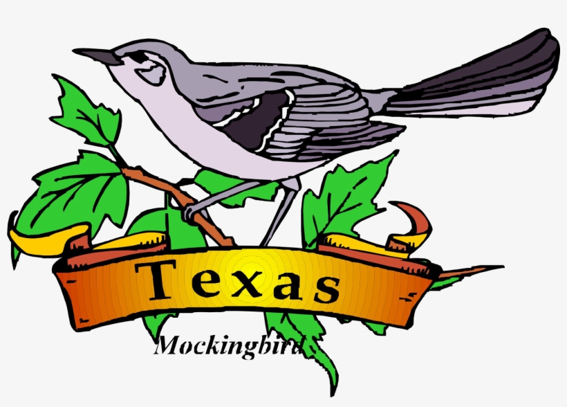 Symbols Of Texas Images - Texas State Bird Clipart - 1500x1003 PNG ...