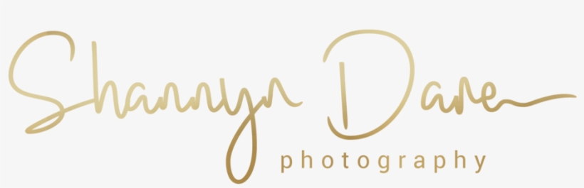 Transparent Bg Copy - 1000x424 PNG Download - PNGkit