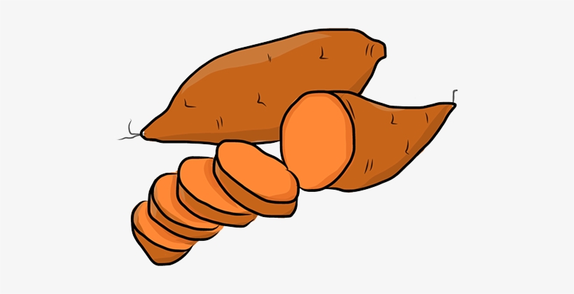 Health - 488x340 PNG Download - PNGkit