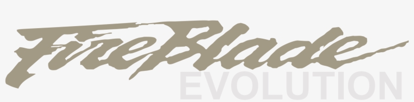 Download Transparent Fireblade Evolution Logo Png Transparent - Honda ...
