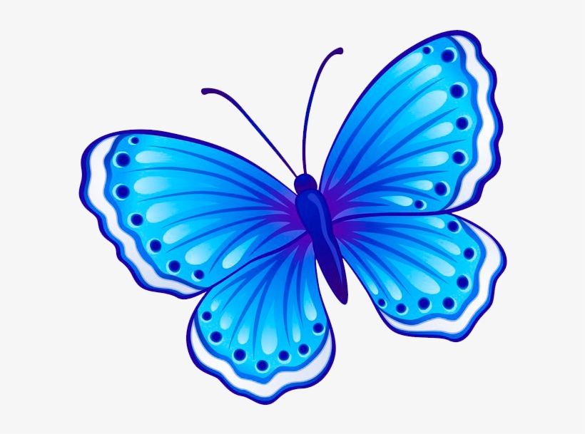 Mariposa - Draw A Butterfly And Colour - 626x589 PNG Download - PNGkit