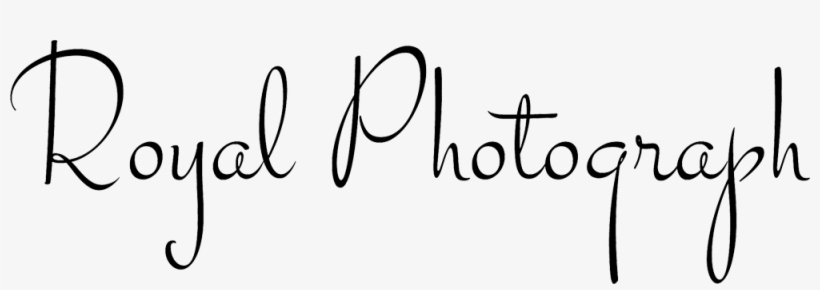Download Transparent Photography - PNGkit