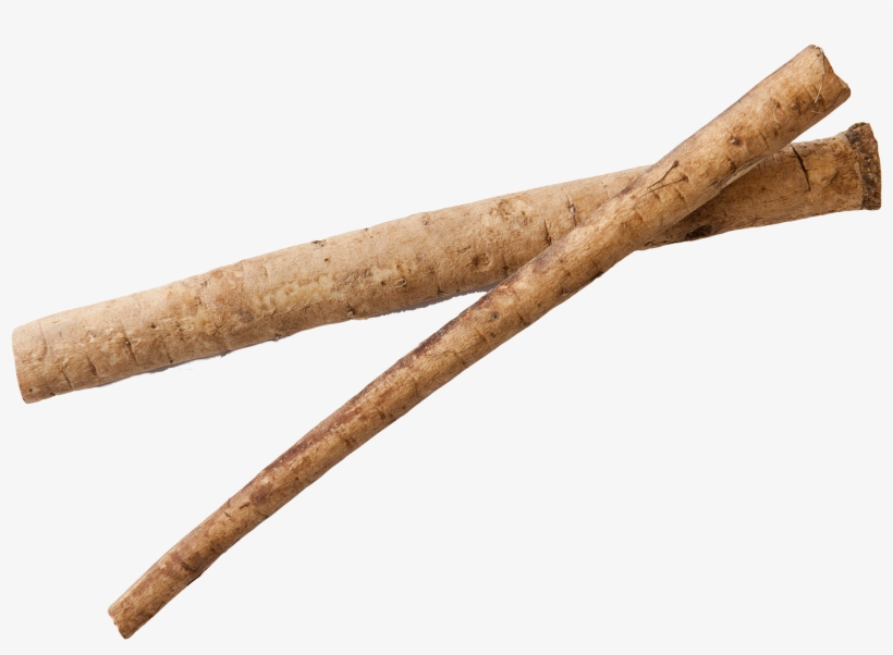 Burdock Root Png Image - Burdock Png - 2368x1616 PNG Download - PNGkit
