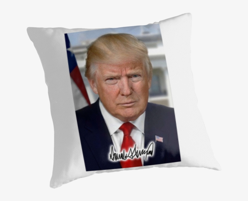 Donald Trump, 45th, President Of The United States - 875x875 PNG ...