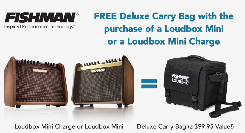 The Free Deluxe Carry Bag Offer Is Valid With The Purchase - Loudbox ...