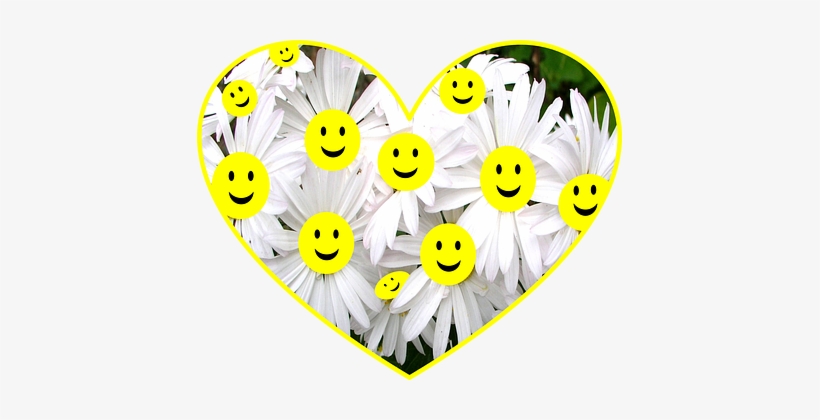 Happy Face Daisy Flowers Smiley Smiling Wh - Smile - 425x340 PNG ...