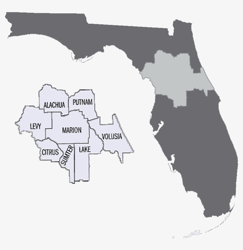 Download Transparent Florida Map - PNGkit