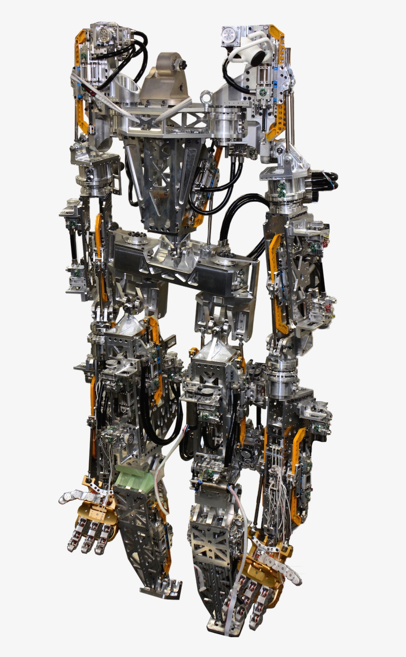 Dob - Hydra Darpa - 600x1260 PNG Download - PNGkit