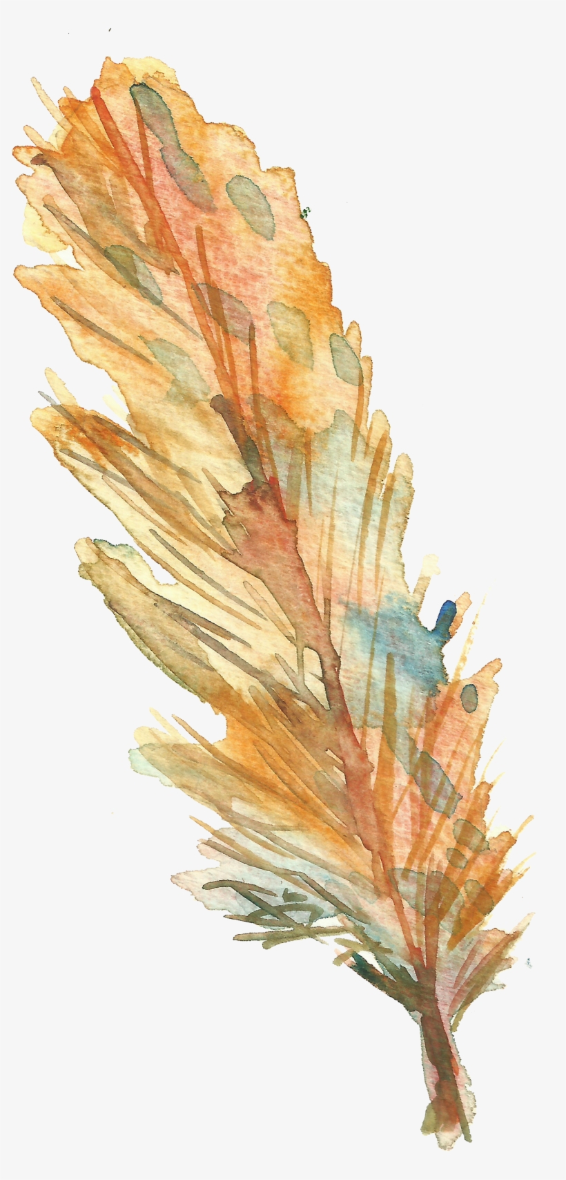 Bird Feather Drawing - Feather - 1693x3000 PNG Download - PNGkit