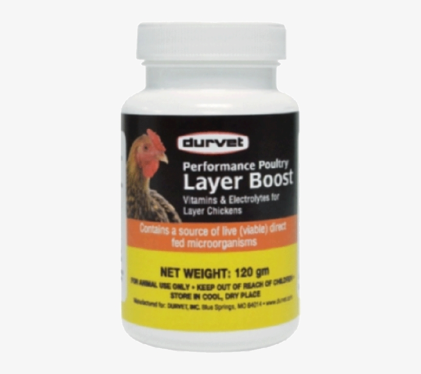 Durvet Performance Poultry Layer Boost Supplement - Layer Boost For ...
