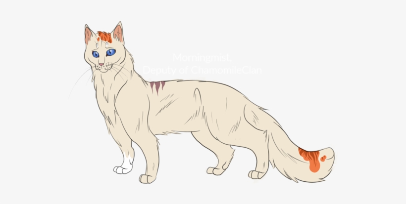 Sig Fogg - Cat Yawns - 640x480 PNG Download - PNGkit