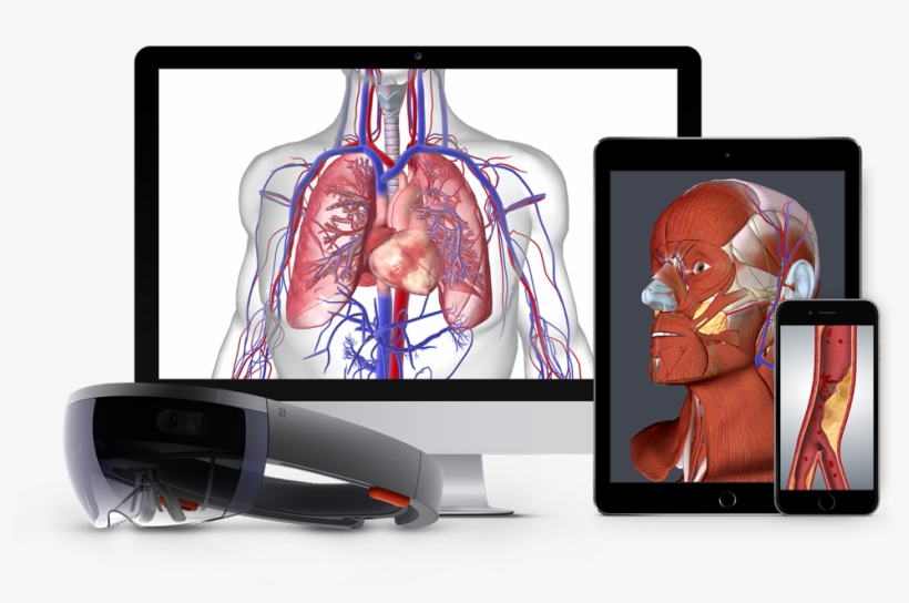 Biodigital Human Platform - Biodigital - 1000x600 PNG Download - PNGkit