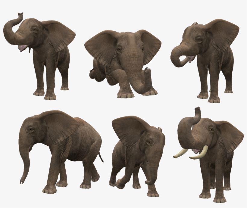 Слоны - 1840x1504 PNG Download - PNGkit