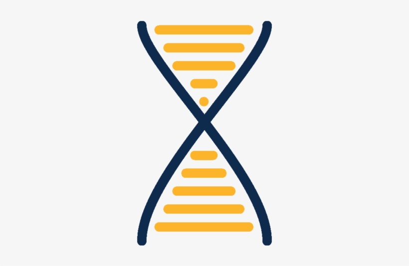 Dna - 1000x1000 PNG Download - PNGkit