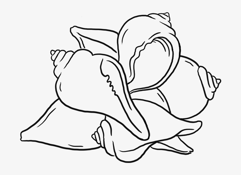 Image Freeuse Download Patterns Of Transformation Designing - Design ...