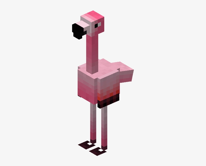 Flamingo - Wiki - 446x579 PNG Download - PNGkit