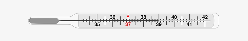 Thermometer, Medical, Clinical Thermometer, Temperature - Coding ...
