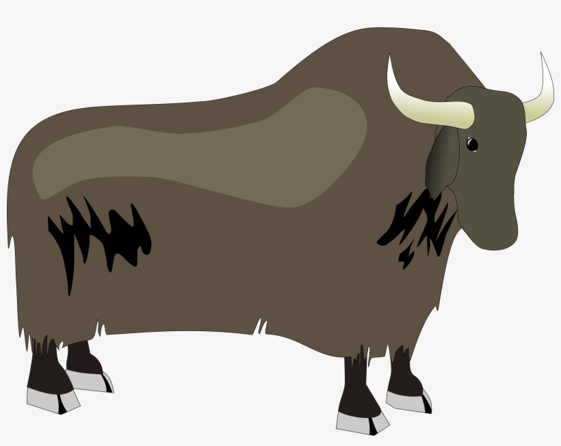Png Source - Yak Vector Png - 2400x1792 PNG Download - PNGkit