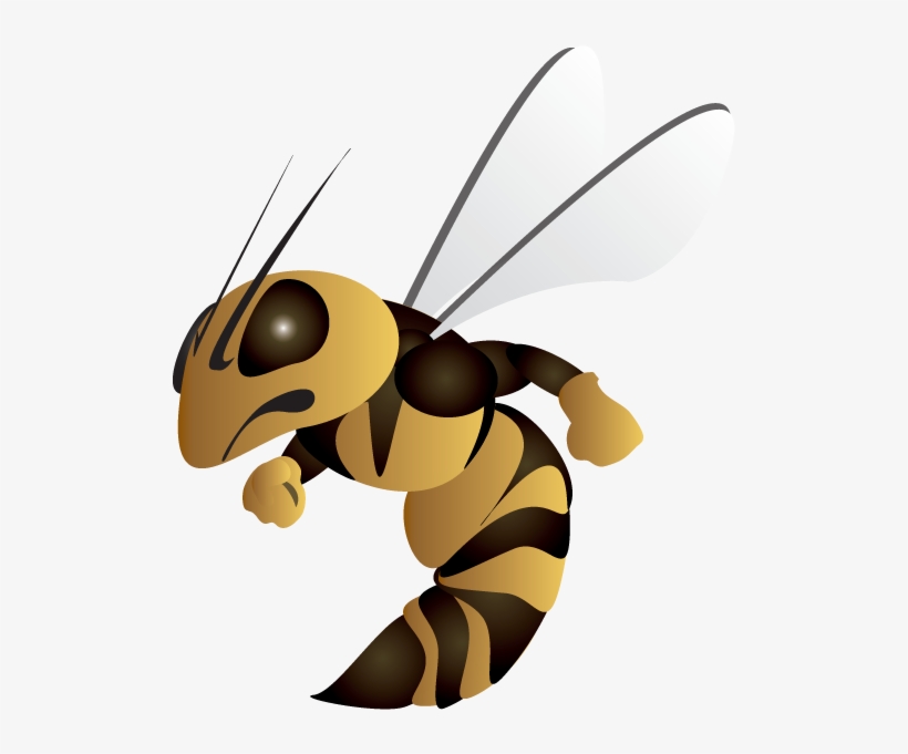 Hssu Brand Identity - Harris Stowe State University Mascot - 653x682 ...