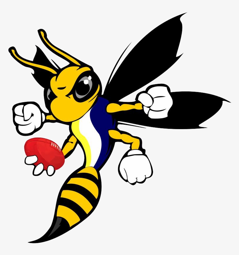 Cartoon Hornet - 775x805 PNG Download - PNGkit