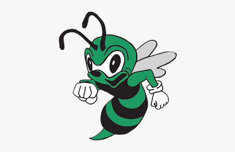 Primary Logo - Scsdb Hornet - 750x450 PNG Download - PNGkit