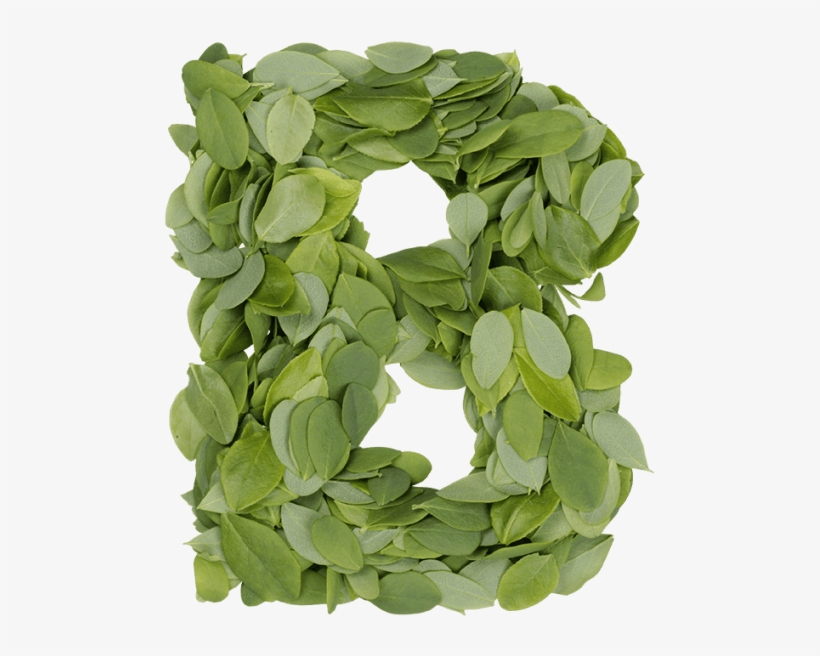 Summer Leaves Font - Font - 595x595 PNG Download - PNGkit