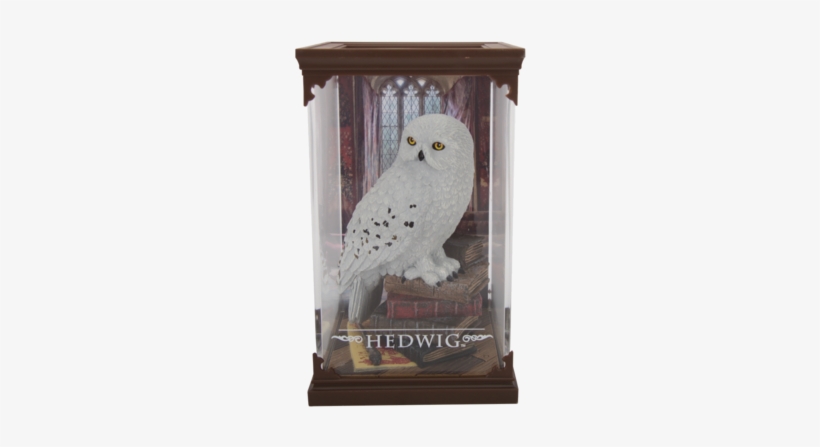 Hedwig - 422x480 PNG Download - PNGkit