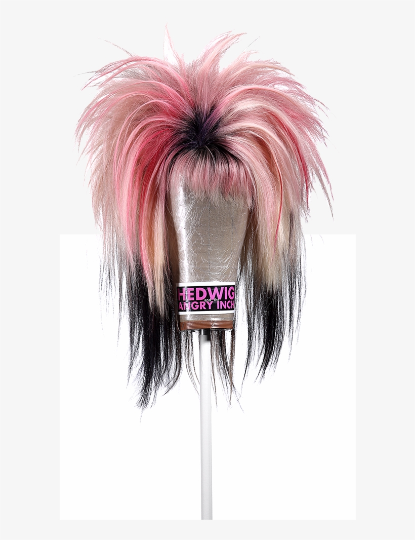 Hedwig-585 - Hedwig And The Angry Inch Wigs - 585x995 PNG Download - PNGkit