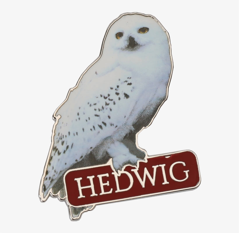 Hedwig Pin Badge - Women's Pins And Brooches Harry Potter Cutie ...