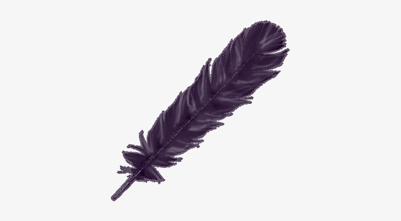 The Raven Feather - Feather - 428x452 PNG Download - PNGkit