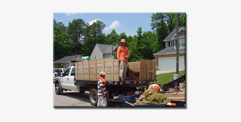 Habitat-21 - Tree - 500x358 PNG Download - PNGkit