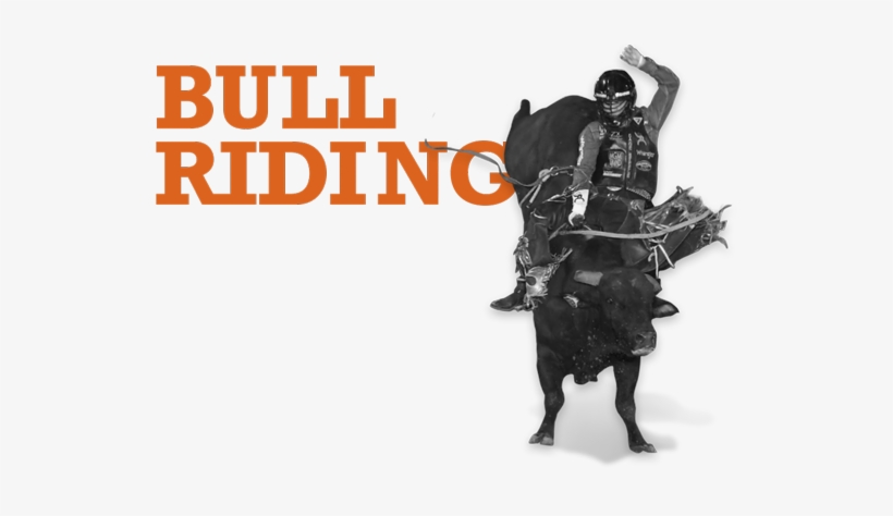 Bull-riding - Days Of '47 Parade - 540x394 PNG Download - PNGkit