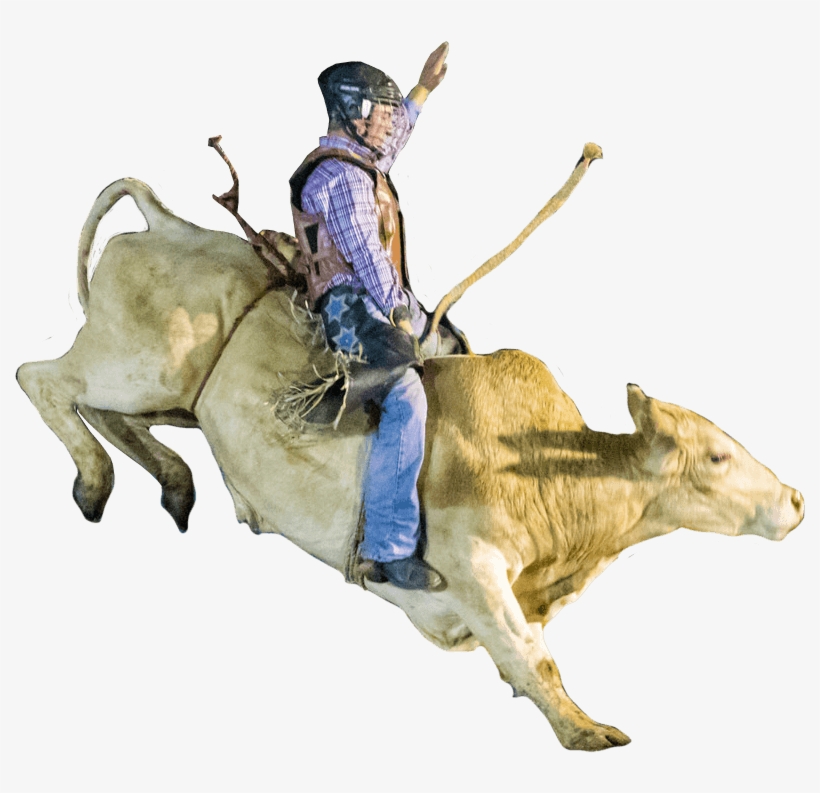 Cowboy On A Bucking Bull - Bucking Bull - 818x733 PNG Download - PNGkit