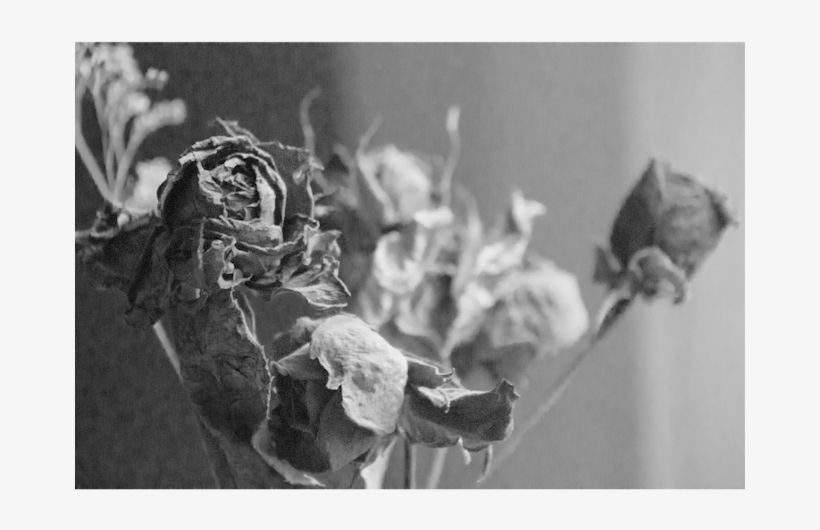 Monochrome - 670x670 PNG Download - PNGkit
