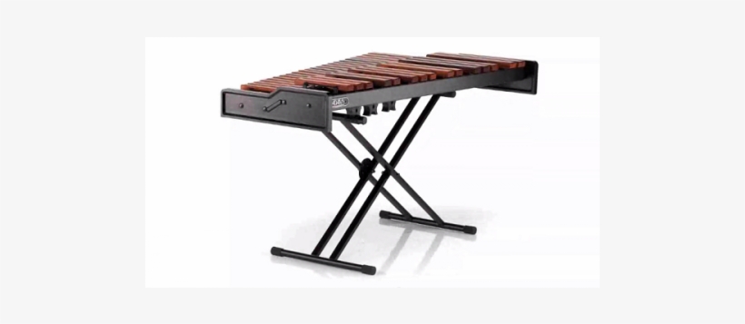 Download Transparent 1335 - 00 € - Adams Academy Series Xylophone ...