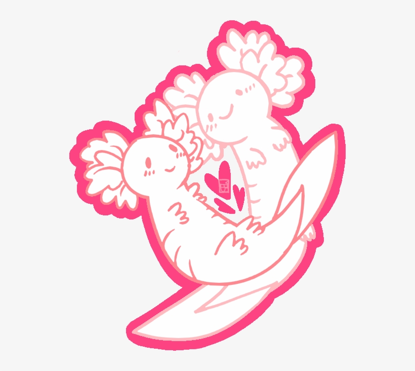 Axolotl Clipart Pink Baby - Axolotl Heart - 546x652 PNG Download - PNGkit
