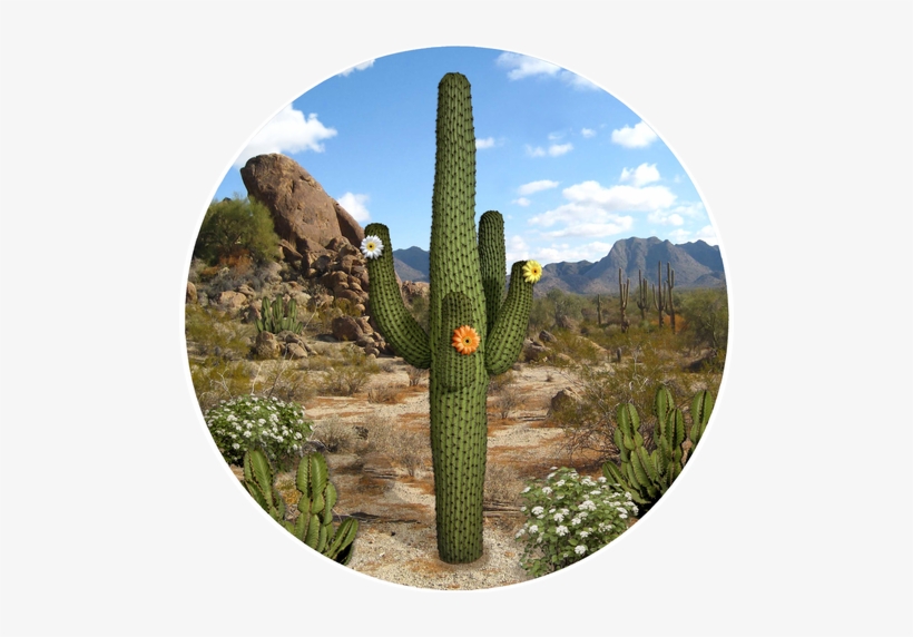 Screen Door Magnets – Twist, Click And Lock - Keep - 498x492 PNG ...