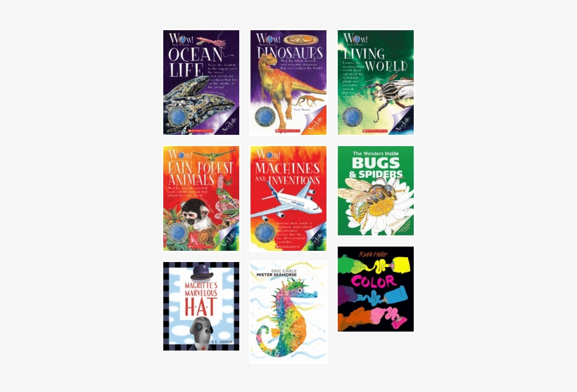 Children's Books With Transparent/acetate Overlays - Bugs And Spiders ...