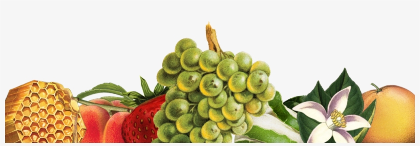 Footer Artwork - Food - V002 - - 1000x299 PNG Download - PNGkit